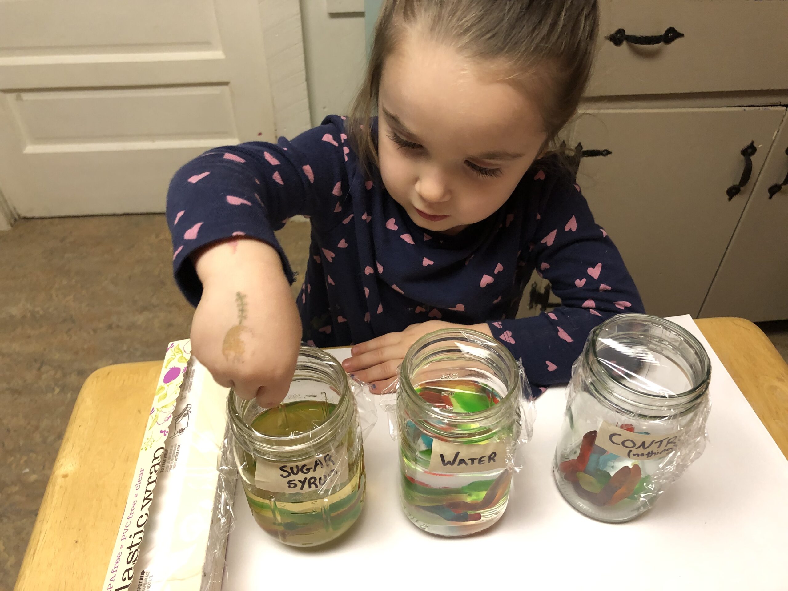 Experiments for Spooky Science: Gooey Osmosis • The Community Classroom