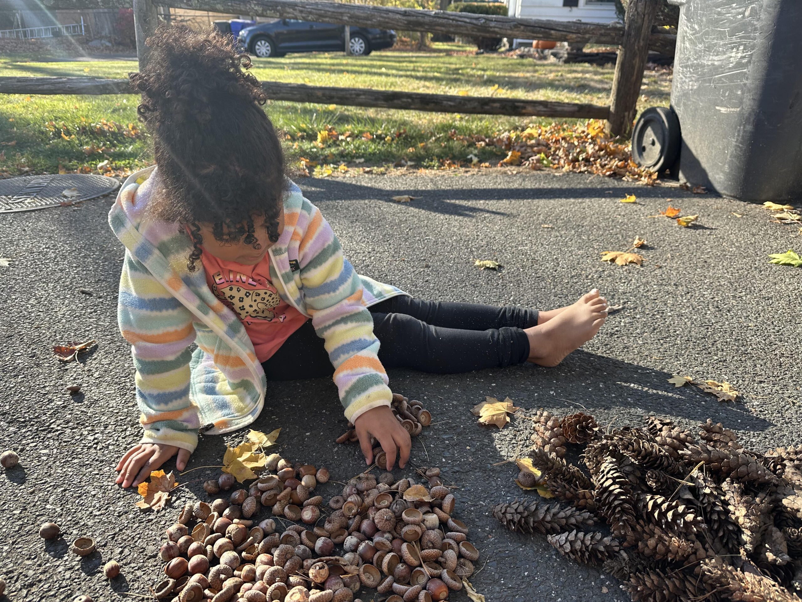 Counting Collections: A Hands-On Way to Build Early Math Skills • The ...